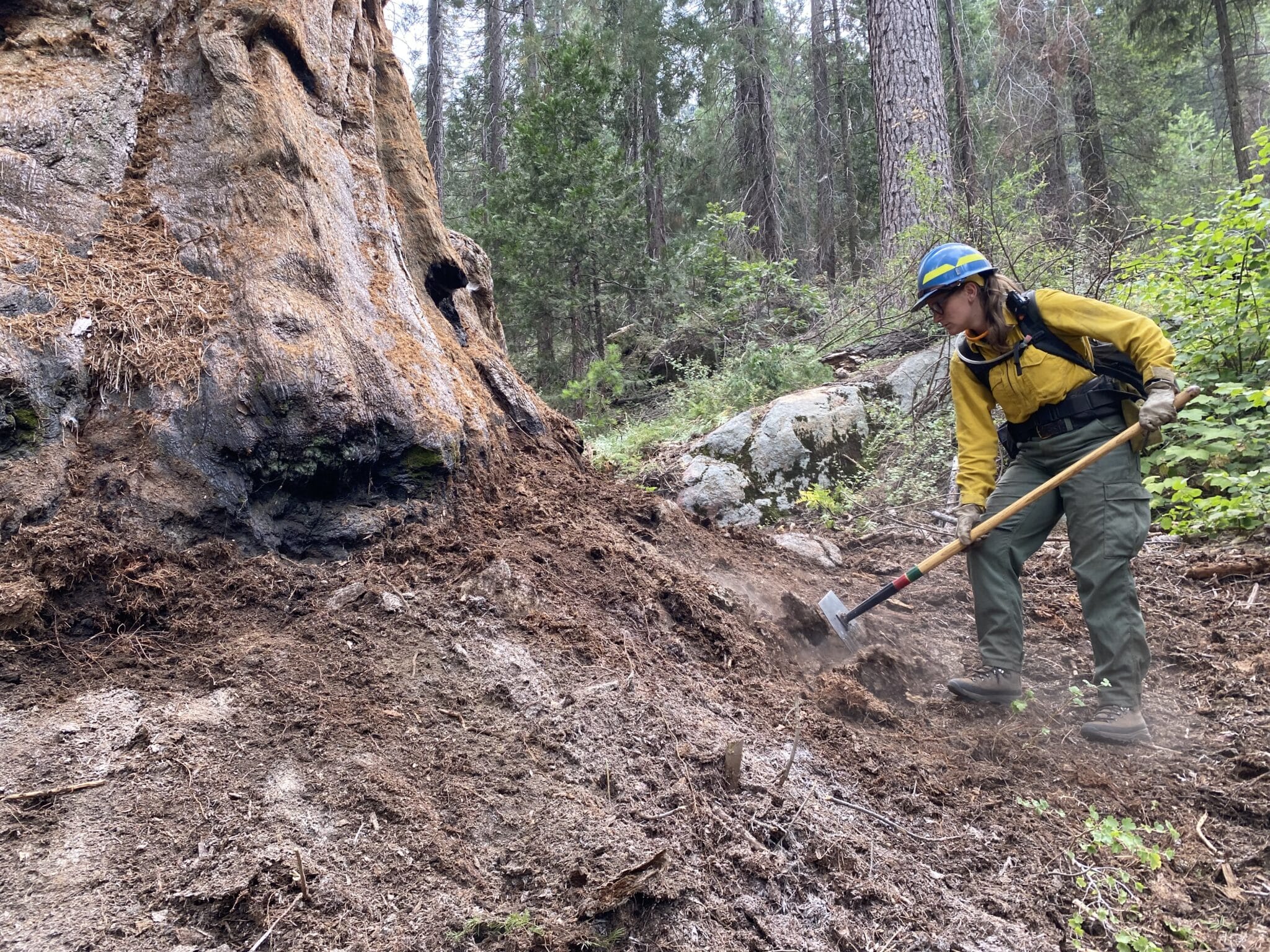 League scientist plays frontline role on the Coffee Pot Fire | Save the ...