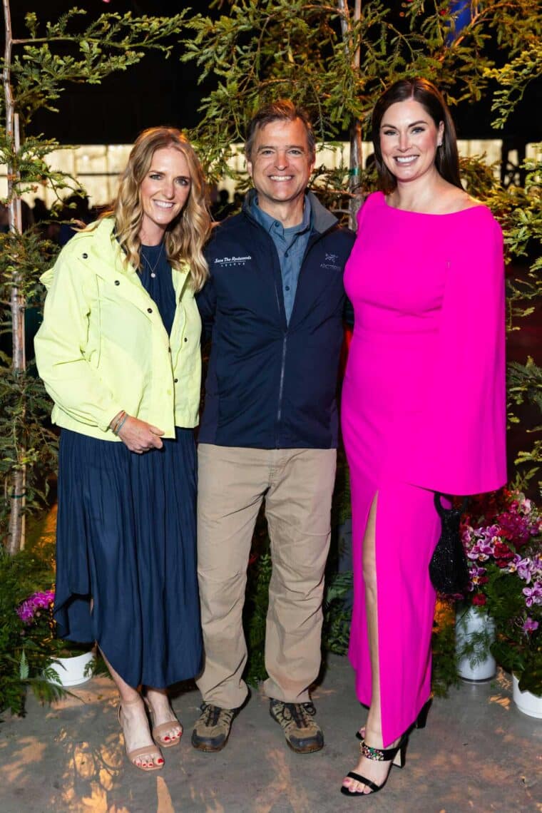 Redwood fans unite for "Take Me to the Trees" celebration - Save the ...