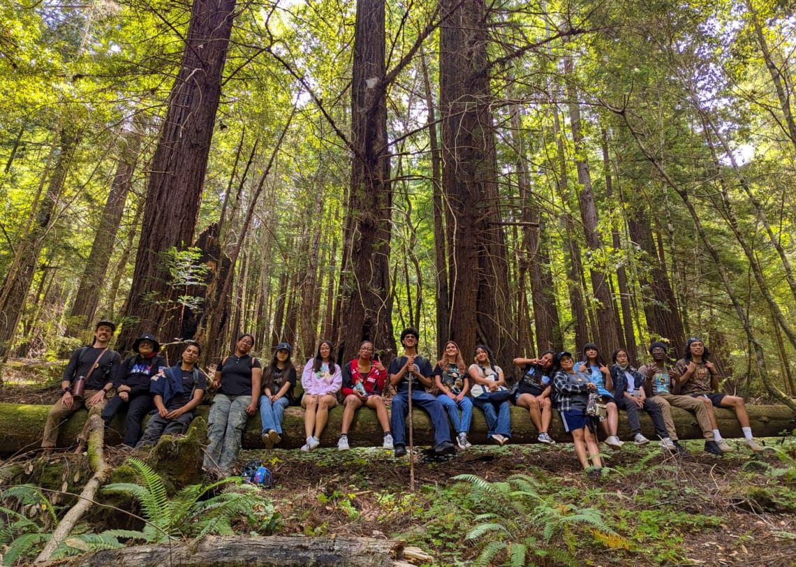 League announces 2025 Redwood Connect grantees | Save the Redwoods League