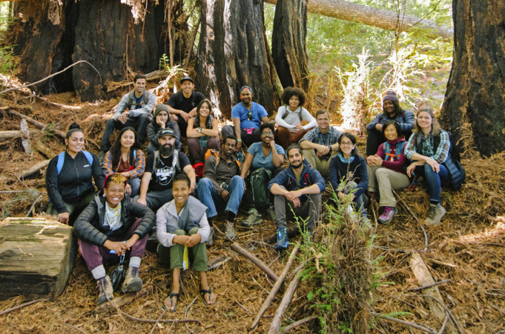 Connect: New redwood parks | Save the Redwoods League