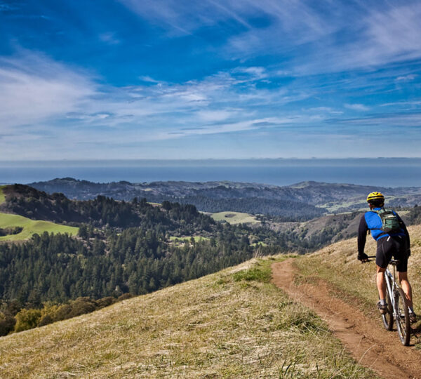Pfeiffer Falls Trail reopens: Welcome back, hikers! | Save the Redwoods ...