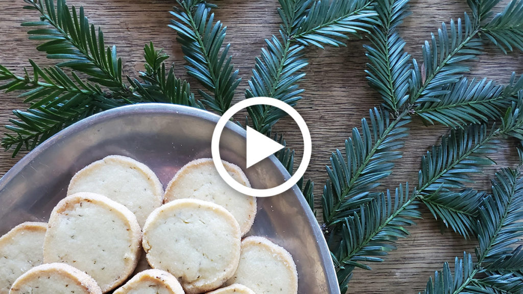 How to make redwood cookies | Save the Redwoods League