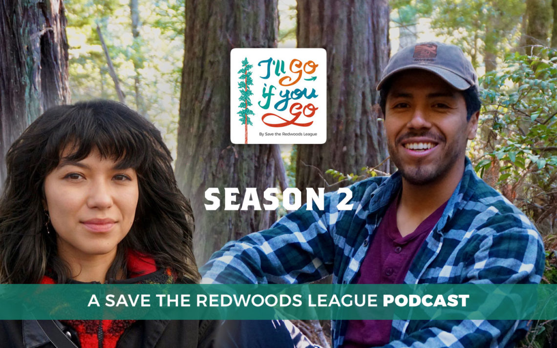 Nothing wrong with having a tree as a friend | Save the Redwoods League