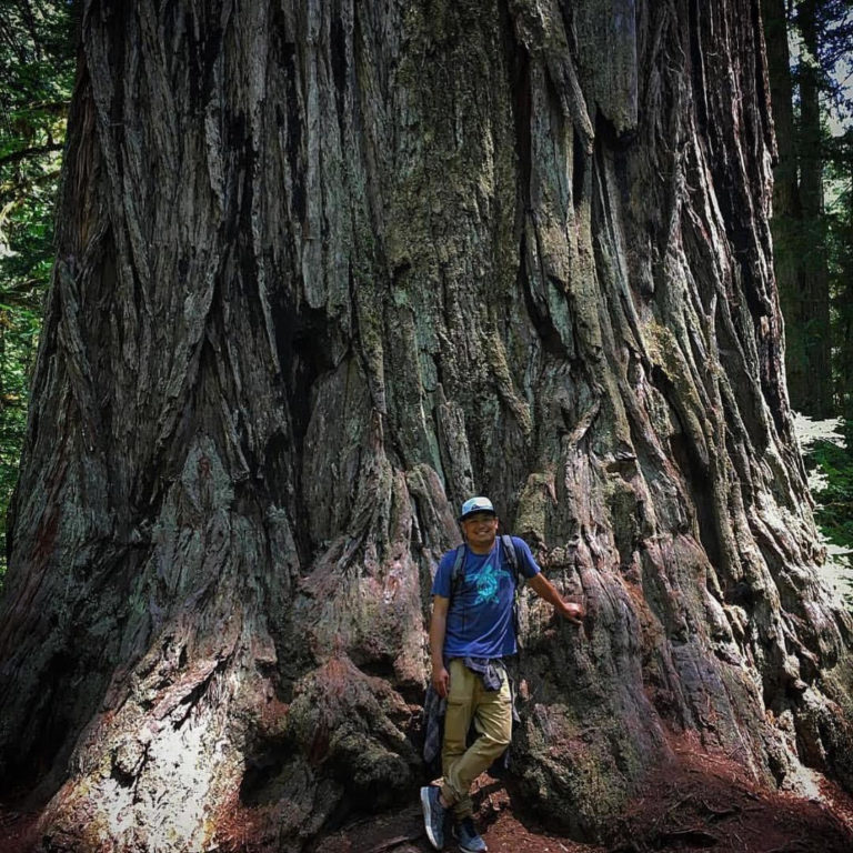 Honor your elders, both human and tree | Save the Redwoods League