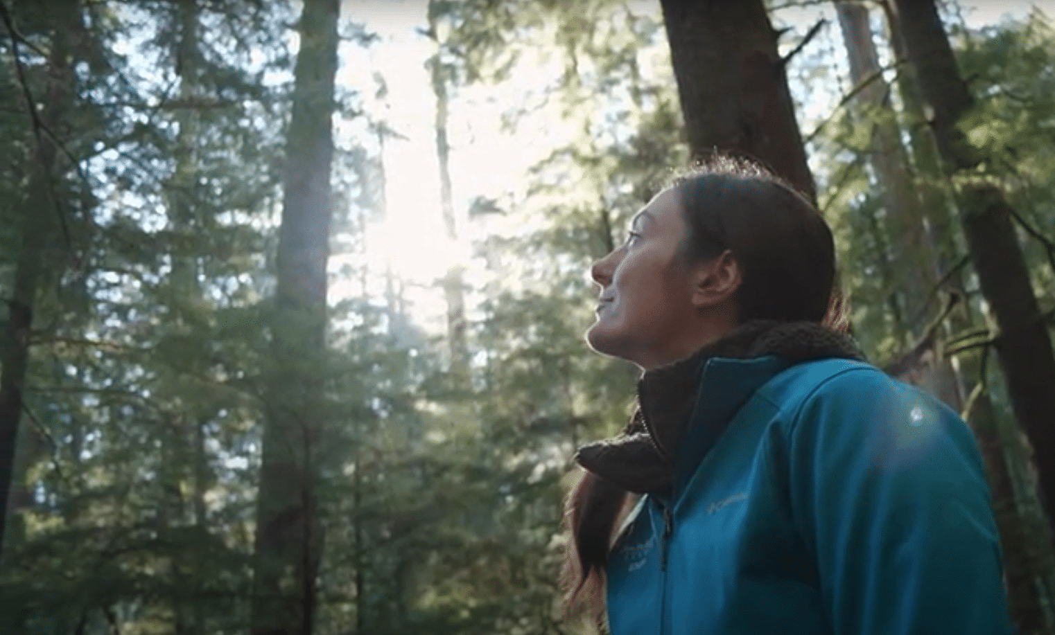 Talking science with the League's Laura Lalemand | Save the Redwoods League