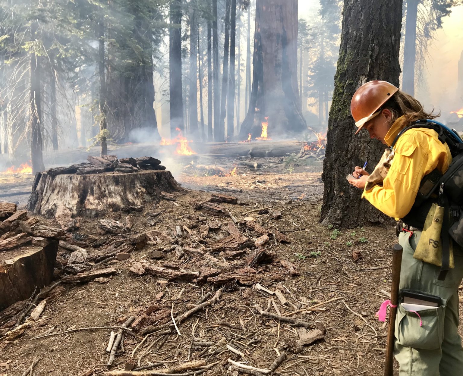 New bill would commit state to more prescribed and cultural burning ...