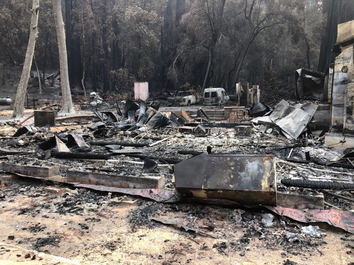 Fire at Big Basin Redwoods State Park derails nature museum project ...