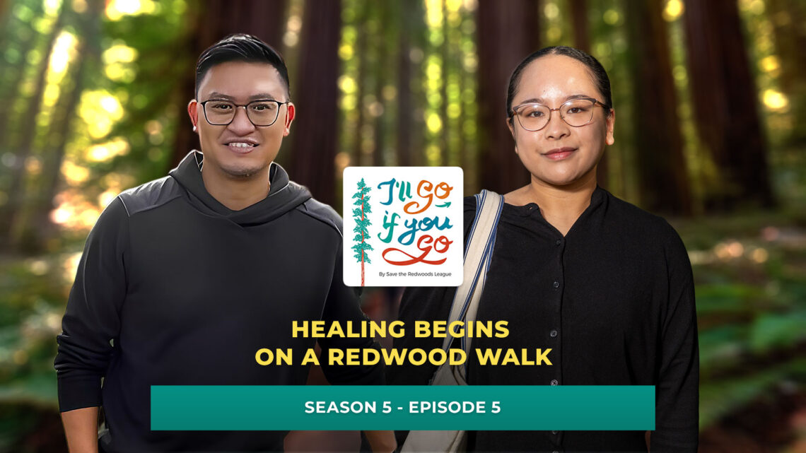 Healing Begins on a Redwood Walk | Save the Redwoods League