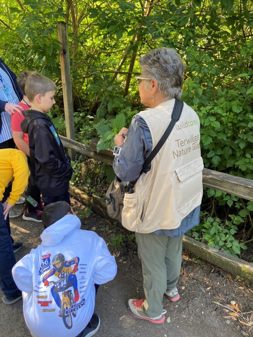 Redwood Connect grantees providing meaningful redwood experiences ...